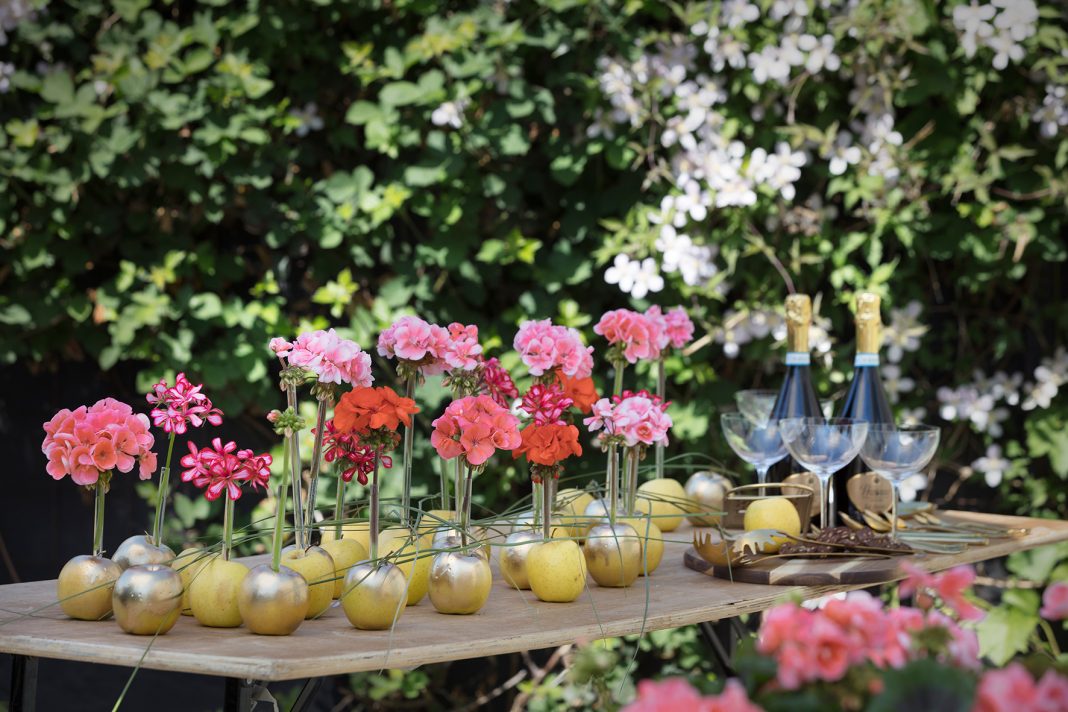 Des géramiums en déco | Jardin Pratique